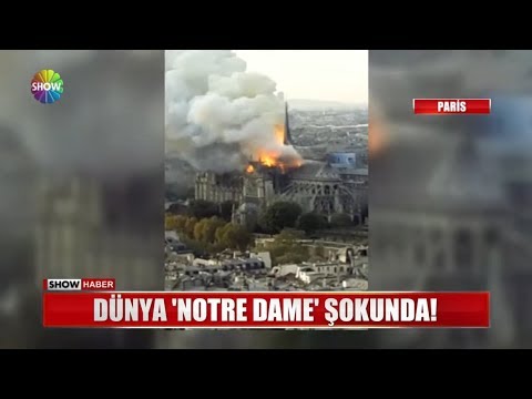 Dünya \