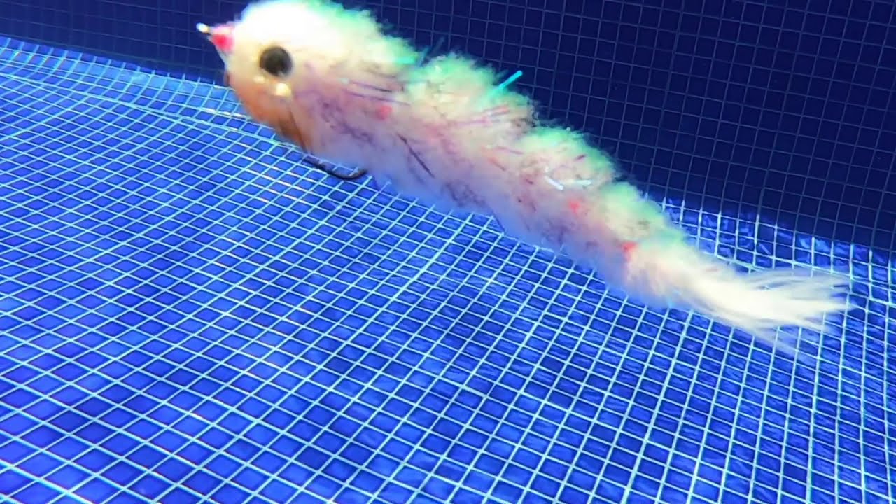 Gamechanger Fly swimming under water - YouTube