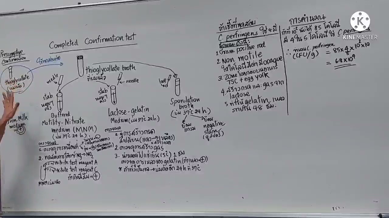 Confirmation test for Clostridium perfringens - YouTube