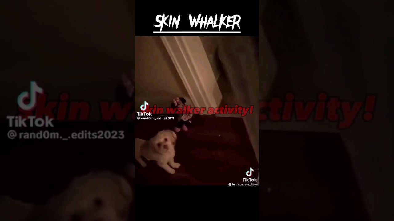 Skin Walker Disguised As a dog #Dog #Scary (First Ever video) - YouTube