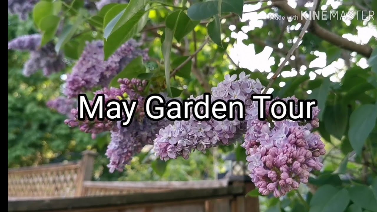 May Garden Tour - YouTube