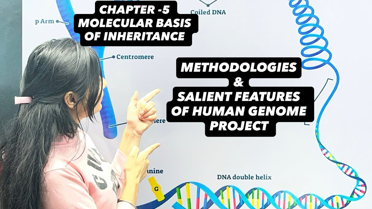 “Methodology & Salient Features of HGP | Most Scoring Topic for Class ...