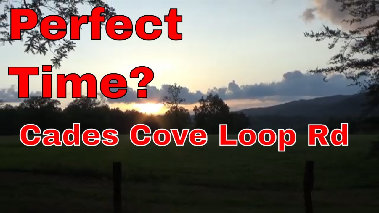When Is The Best Time To Drive Cades Cove Loop Road - YouTube