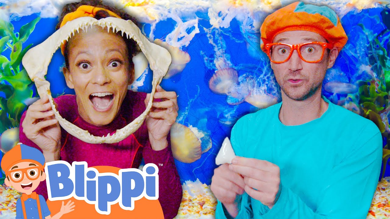 Blippi And Meekah Visit The OCEAN PLAYGROUND | Blippi and Meekah Best ...
