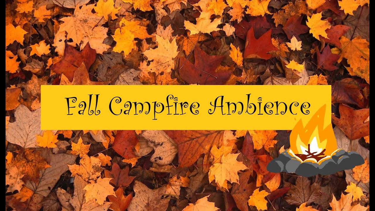 Fall Campfire Ambience half hour - YouTube