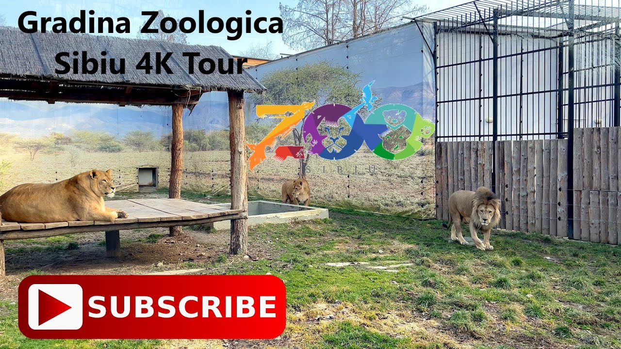 Zoo Sibiu 4K Tour | Tur Gradina Zoologica Sibiu in 4k | Hermannstadt ...