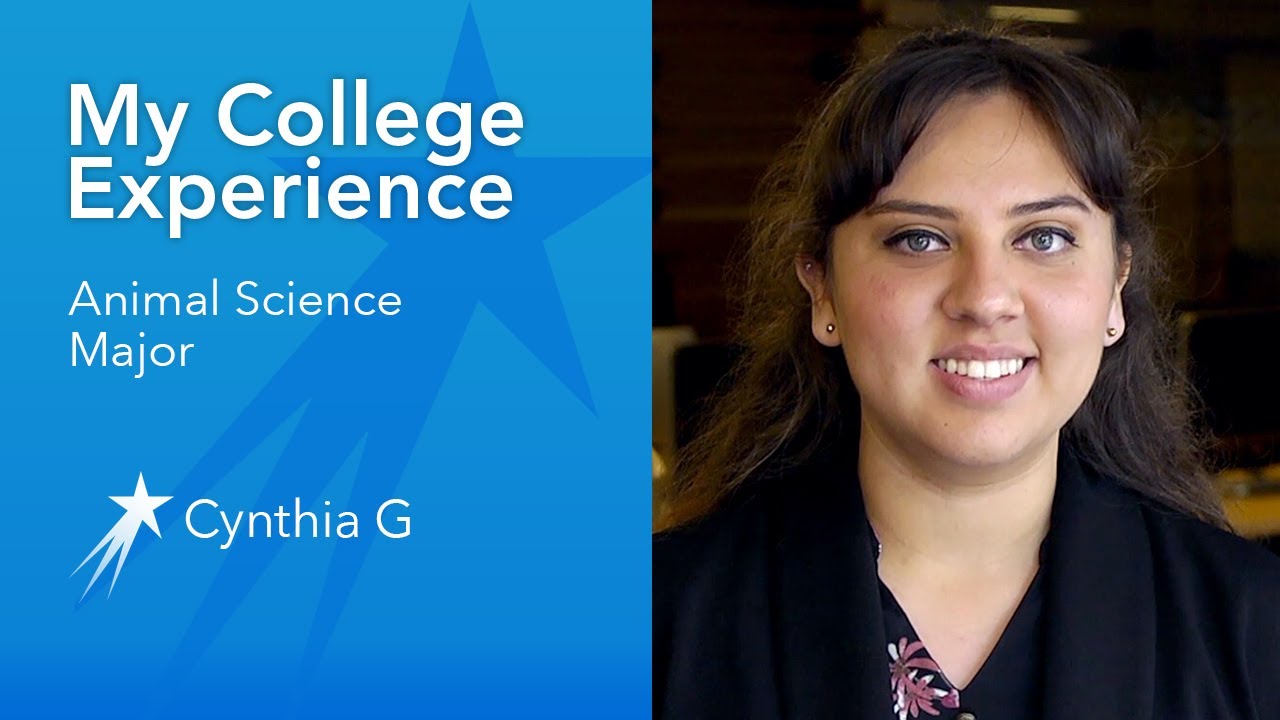 My College Experience | El Camino College Student Cynthia G | Career ...
