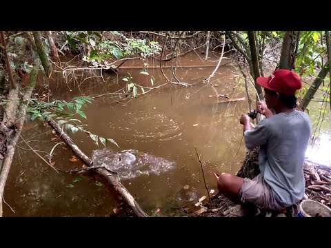 Mancing di tengah hutan.!!! Umpan jatuh ikan nya langsung padarebutan