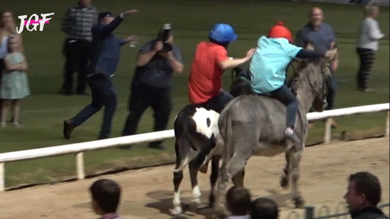 Donkey Race - Track Racing - YouTube