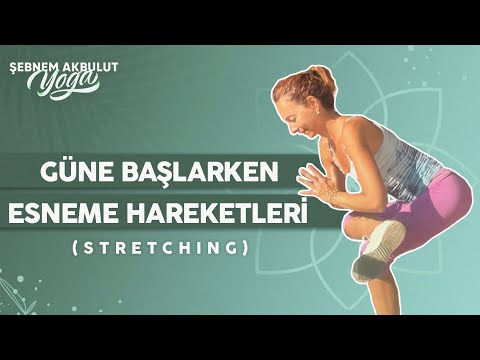 Güne Başlarken Esneme Hareketleri (Stretching) | Şebnem Akbulut Yoga