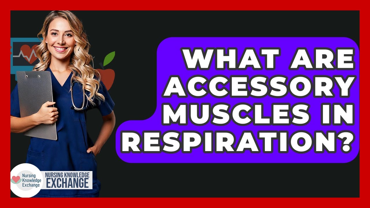 What Are Accessory Muscles In Respiration? - Nursing Knowledge Exchange ...