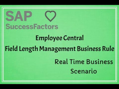 SAP SuccessFactors Employee Central | Real Time Scenario | Field Length ...