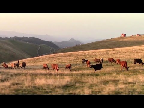 ⛰️ Karadeniz Yaylaları | Sonbahar Manzaraları ve Doğa