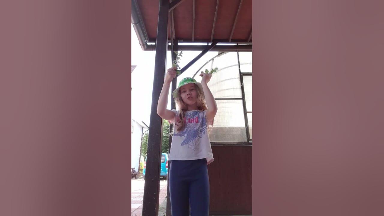 танец зайчик бани бани зайчик #тик #песня #тренд - YouTube