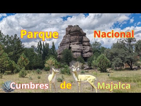 MAJALCA CHIHUAHUA parque nacional (Los chavez) - YouTube
