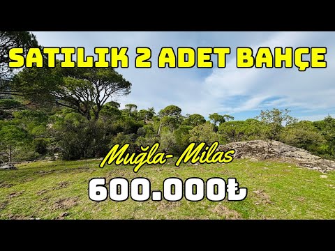Muğla Milas’ta Satılık 2 Adet Bahçe 600.000₺-A556 #satılık #bahçe #muğla 