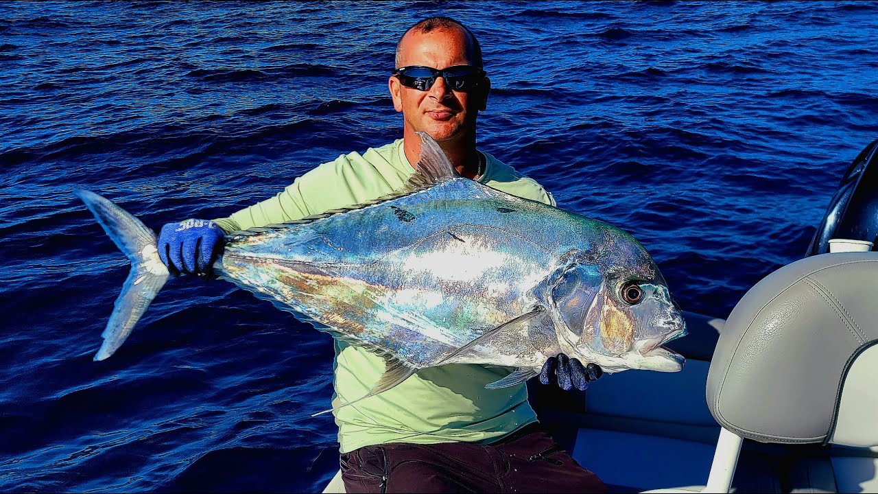 African Pompano, Mutton Snapper and AJ's, Getting out before red tide ...