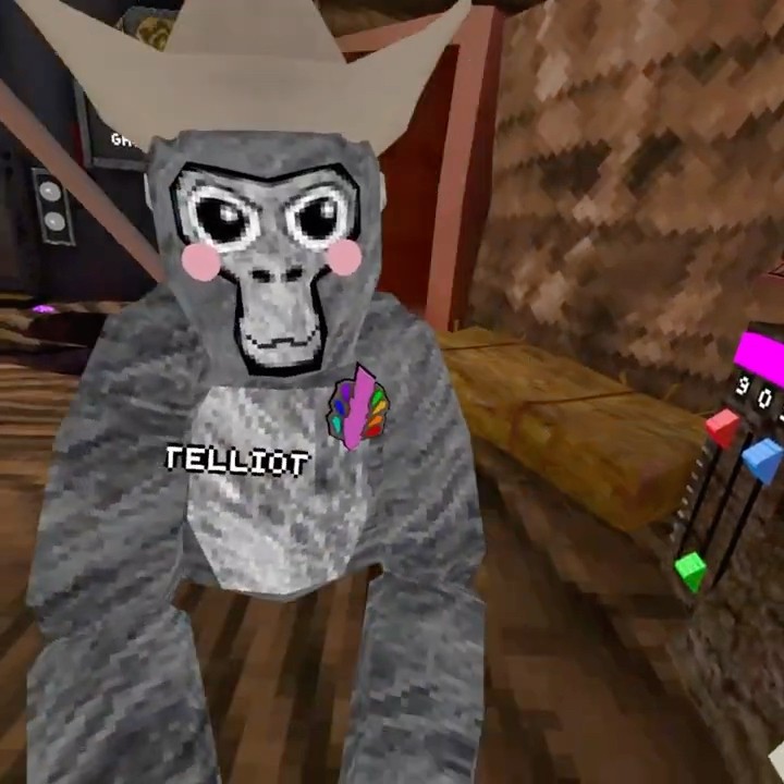 Elliot? #gorillatag #gorillatagquest #gorrilatag #vr #beatsaber # ...