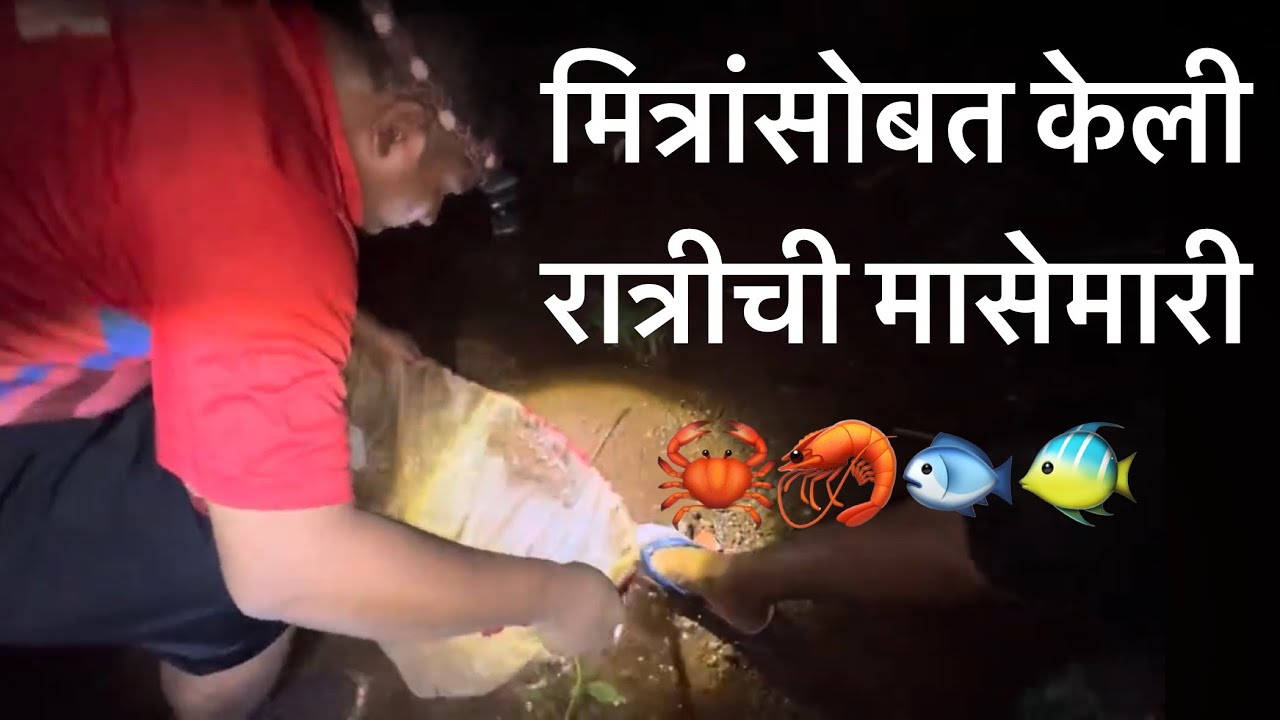 खाडीतील रात्रीची मासेमारी | प्रतीक ने पकडले विविध प्रकारचे मासे | Night ...