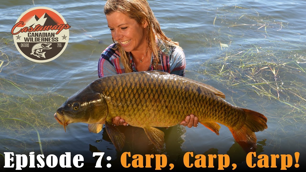 Castaways 7: CARP, CARP, CARP!!! - YouTube