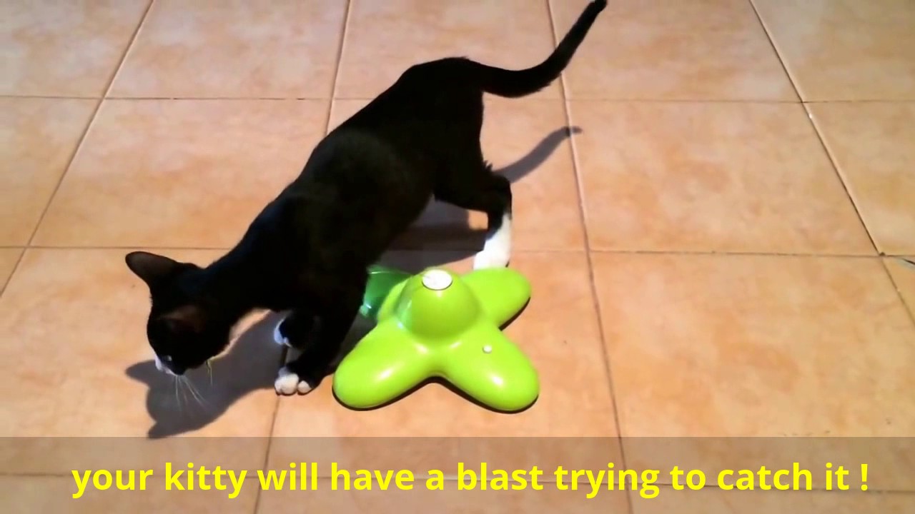 AWESOME ROTATING BUTTERFLY CAT TOY ! - YouTube
