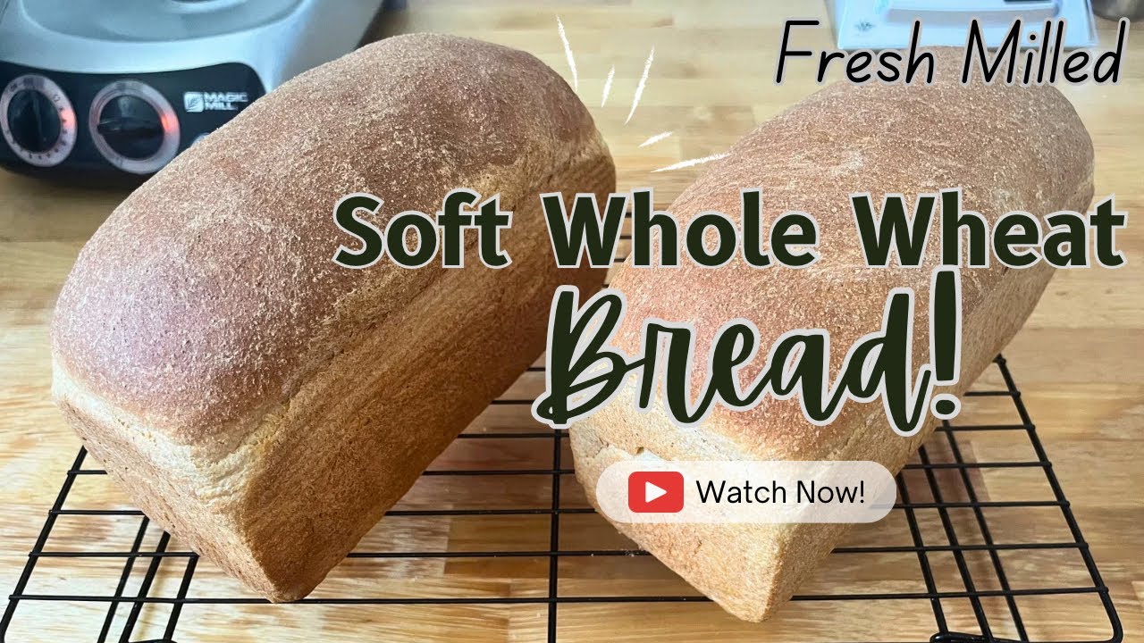 Easy Whole Wheat Sandwich Bread | No Additives Needed! With Yudane ...
