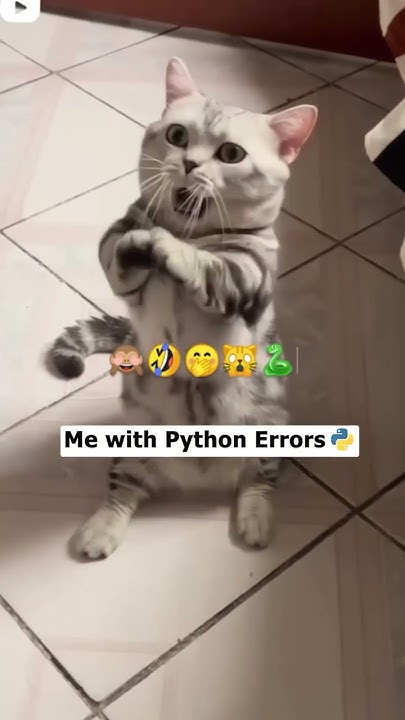 Solve Python Erros In Seconds Python Coding Ptyhonpattern Pythonlibraries Youtube