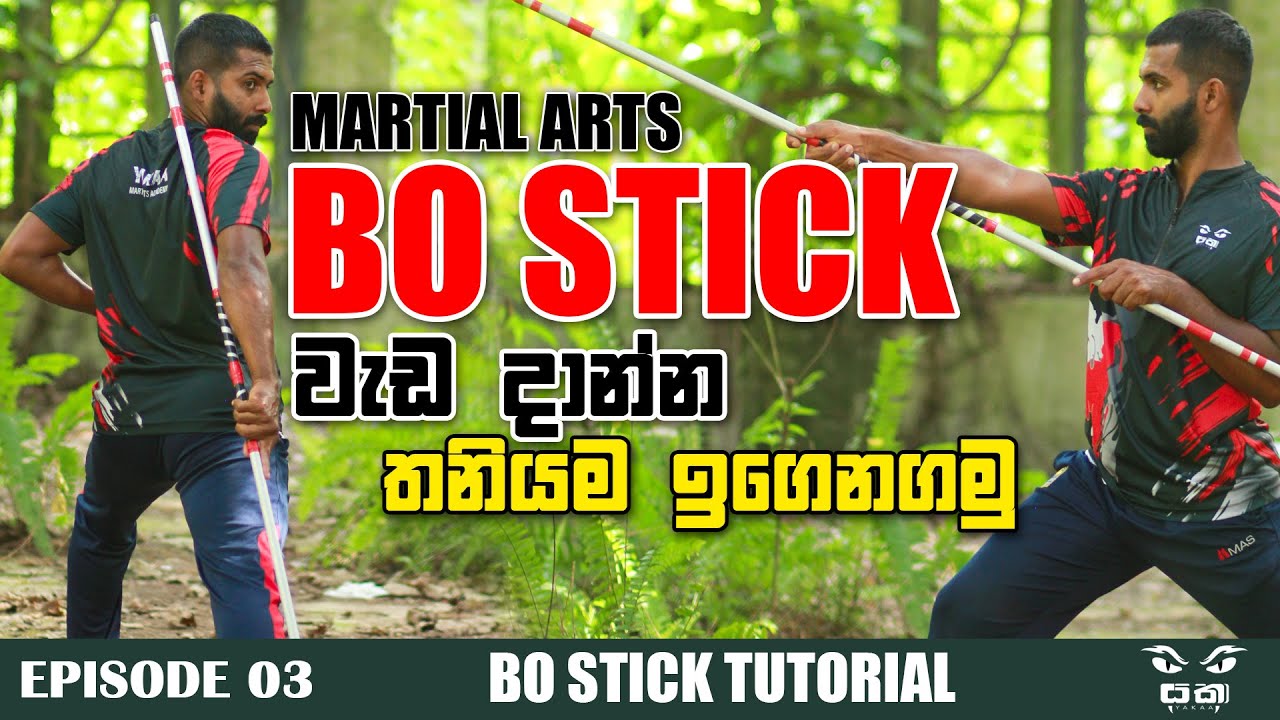 පොලු සටන් පුහුණුව | Basic Bo Staff Training | පොලු කරකවන්න තනියම ...