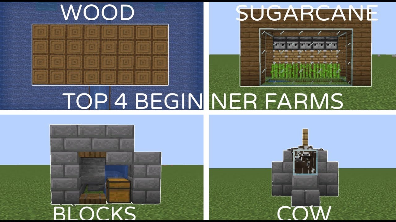 Top 4 Beginner Farms to Help You Get Started - YouTube