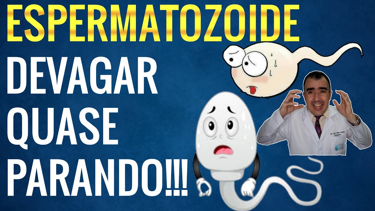 ASTENOZOOSPERMIA: como melhorar a motilidade dos espermatozoides - YouTube