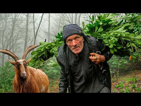 Tek Adamın Hayvanlarıyla Hayatı | Belgesel Film