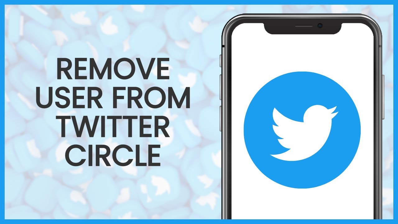 Circle Twitter Icon