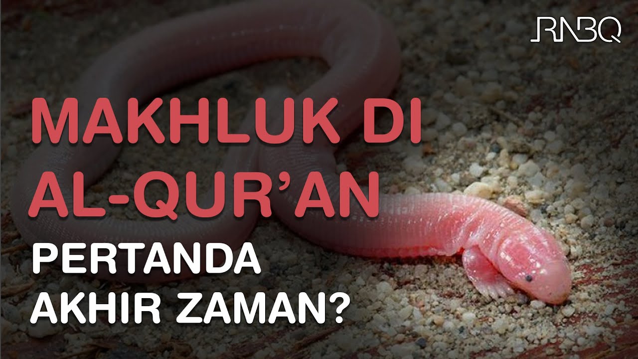 MAHLUK-MAHLUK UNIK YANG ADA DIDALAM AL-QURAN - YouTube