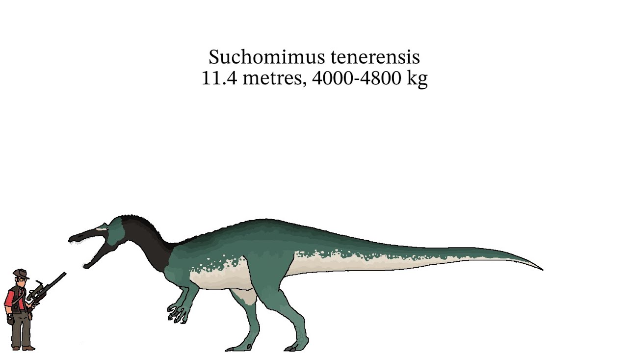 Theropod size comparison - YouTube