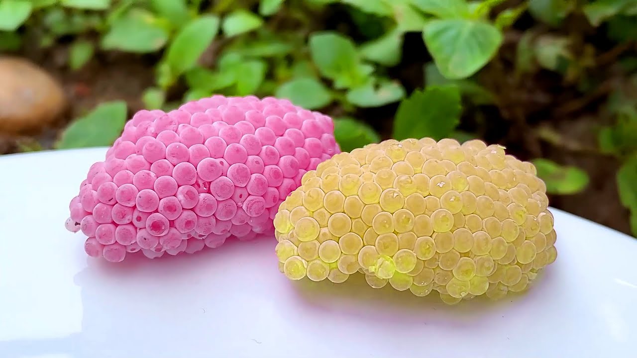 4K Invasive snail eggs crushed | Apple snail Eggs ASMR 🐌66 - YouTube
