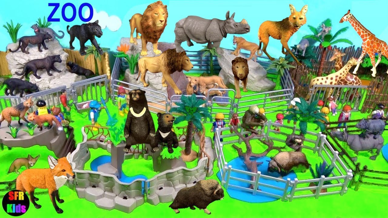 Zoo Animals - Lion Leopard Giraffe Rhino Giraffe Sun Bear Koala - YouTube