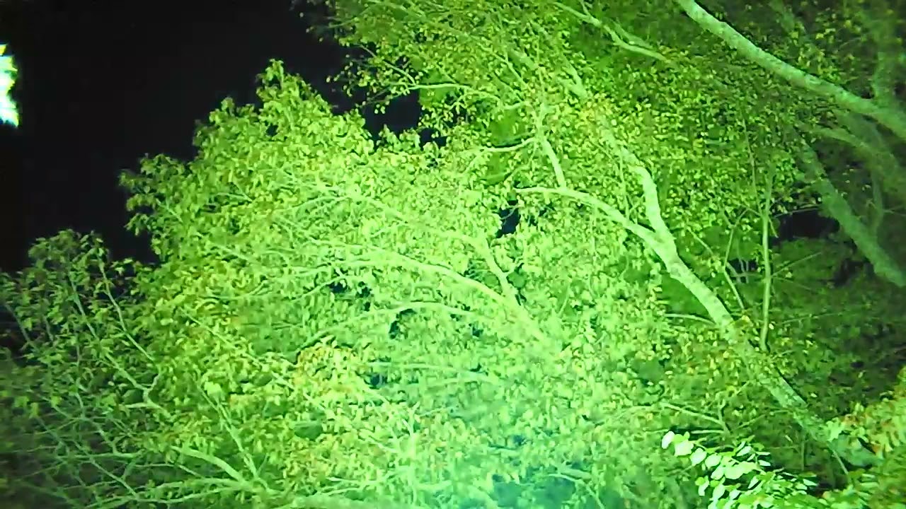 UAP “Orb” Flies Extremely Close to Plane Oct 22, 2021 Signaling Session ...