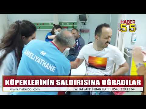 KENDİ KÖPEKLERİNİN SALDIRISINA UĞRAYAN BABA-OĞUL YARALANDI