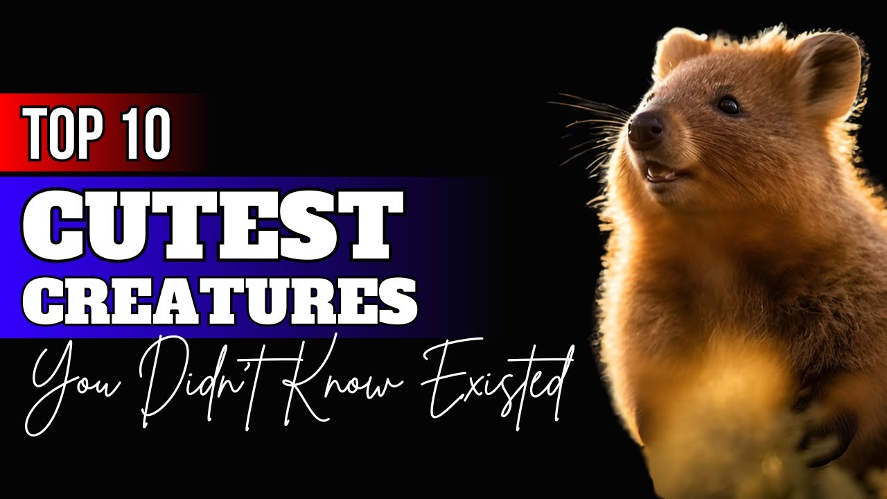 Adorable and Rare Animals: Top 10 Cutest Creatures You Didn't Know ...