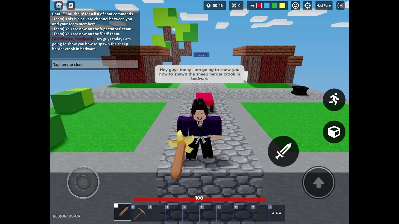 How to spawn sheep herder crook in bedwars admin commands :) - YouTube