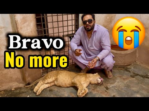 Bravo ko kis nay Mara 😭Diana ko pehlay say sab pata tha 😱(mian saqib)