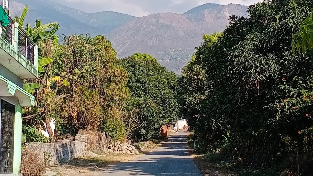 7 Bigha land available for sale in Jimcorbett Patkot Uttarakhand # ...