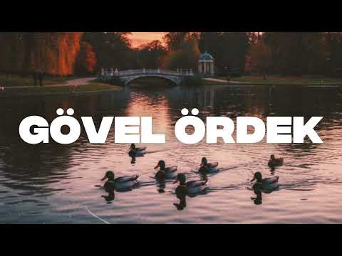 Gövel Ördek | Psychedelic Arabesk Cover