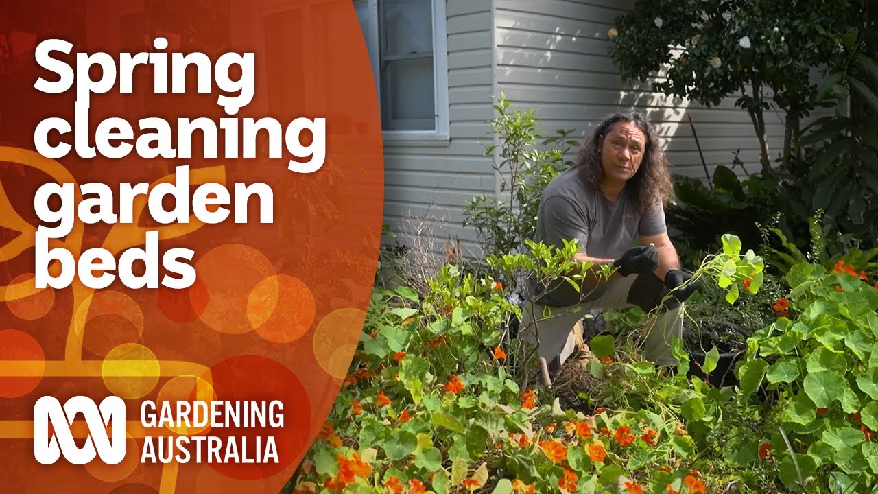 How to clean up and replant a messy garden bed | Garden Inspiration ...