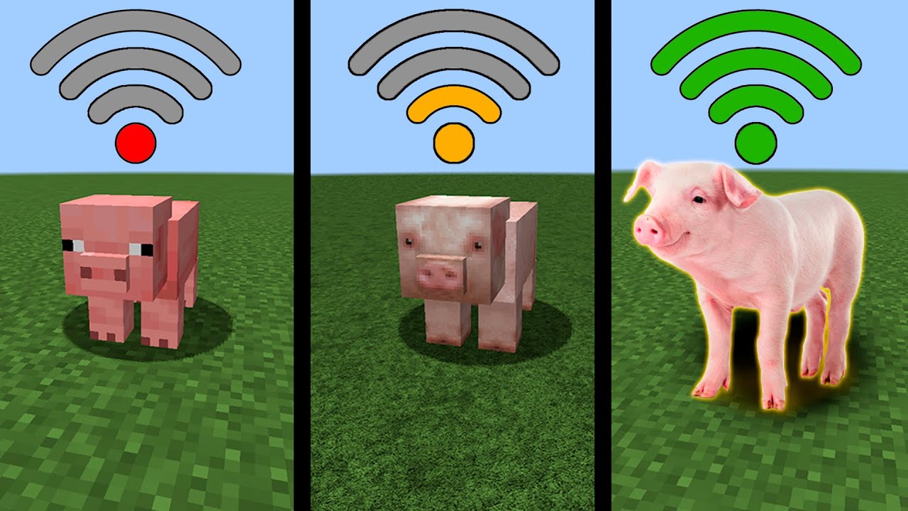 Pig in different WI-FI connection - YouTube