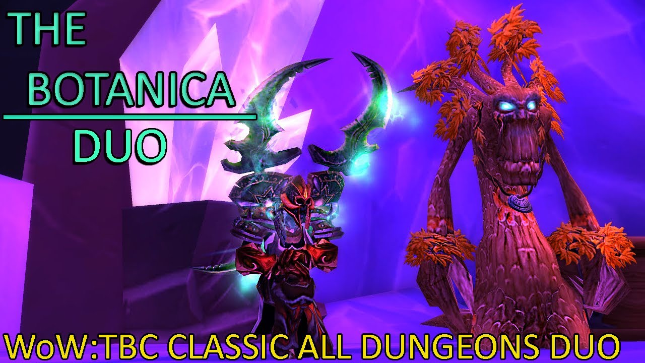 The Botanica 2-Man/Duo [Warrior Druid PvE Duo] [World of Warcraft TBC ...