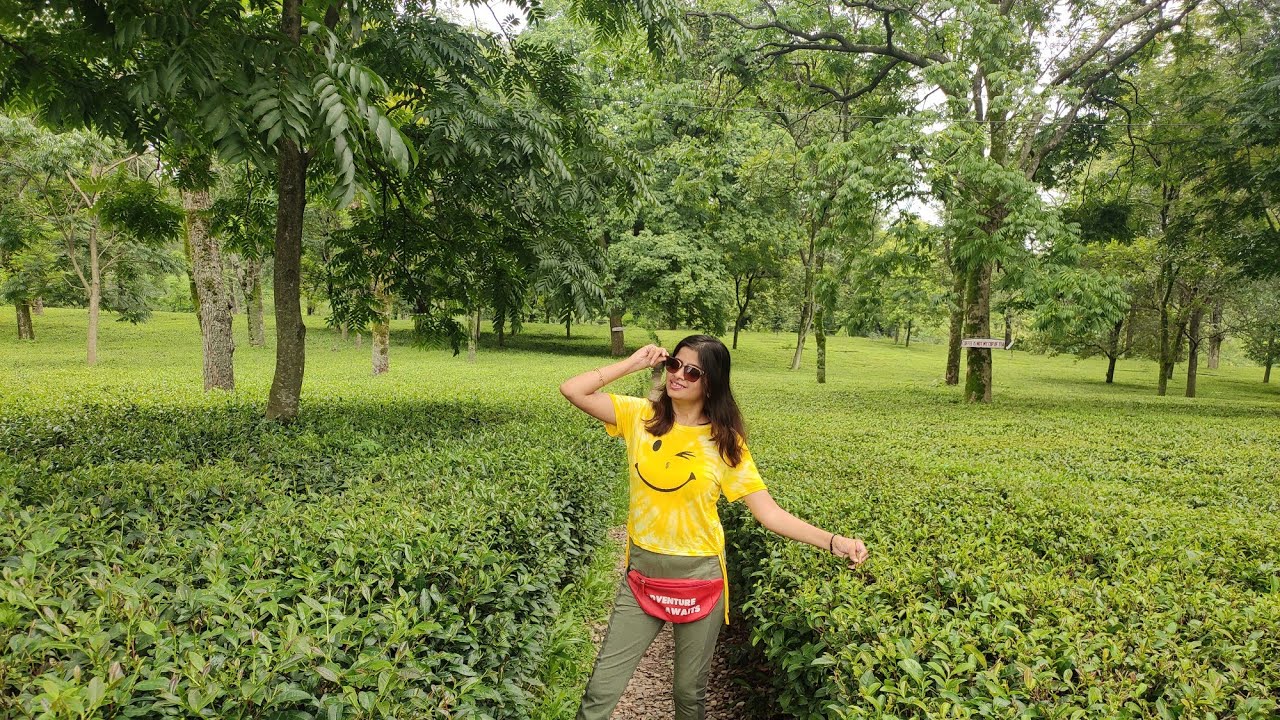 Wah Tea Estate Palampur Himachal Pradesh - YouTube