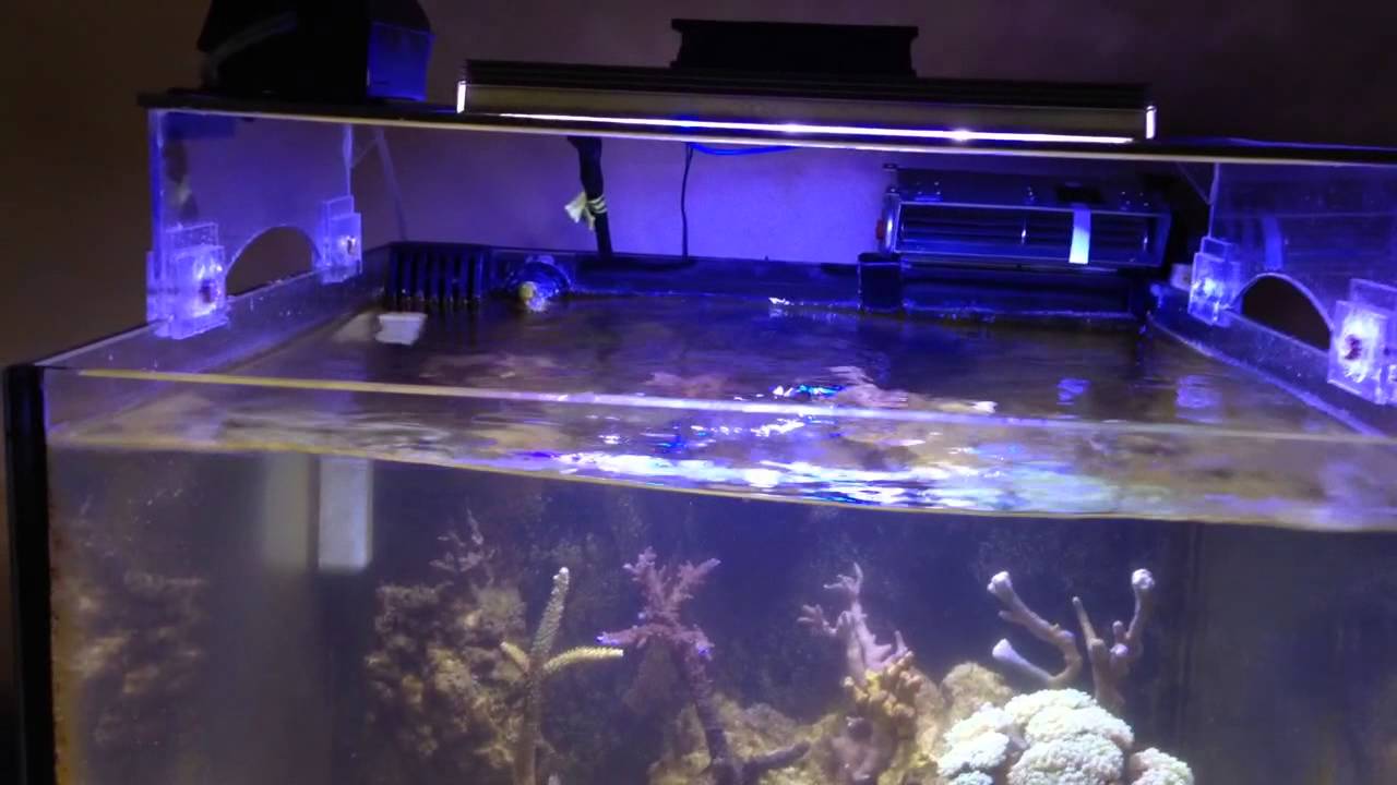 Vortech Mp10 ntm mode - YouTube