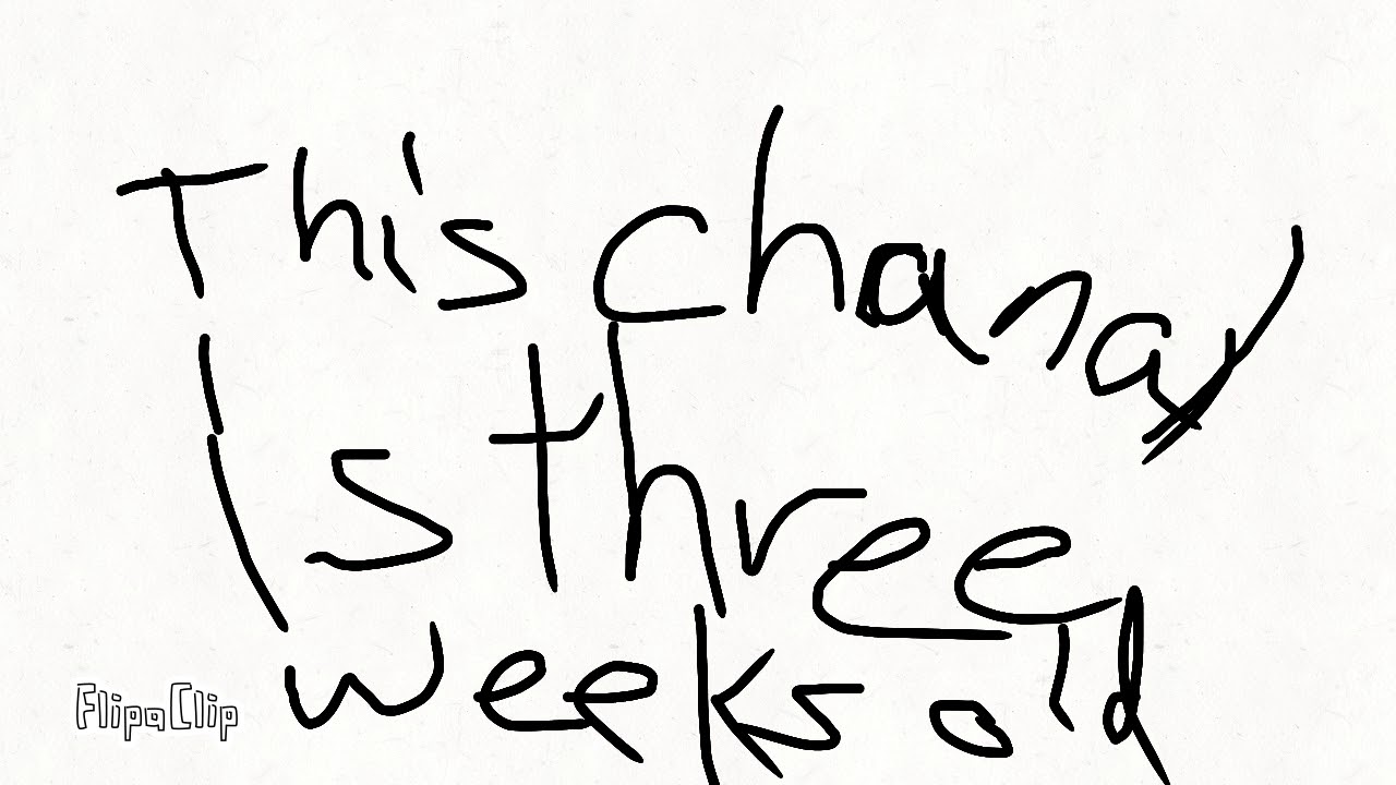3 Weeks Old YouTube 3-weeks-old-youtube