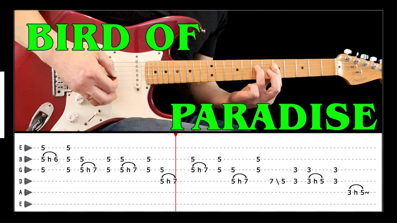 BIRD OF PARADISE - Guitar lesson intro + verse + chorus (with tabs ...